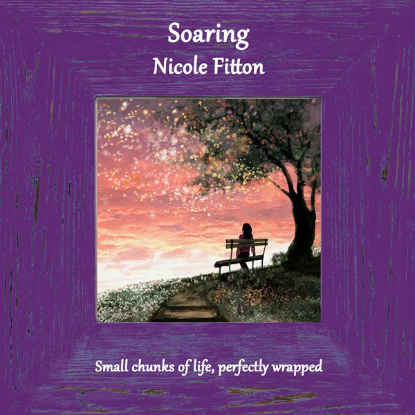 Review – Soaring by Nicole Fitton #shortstories #fiction – StoreyBook ...